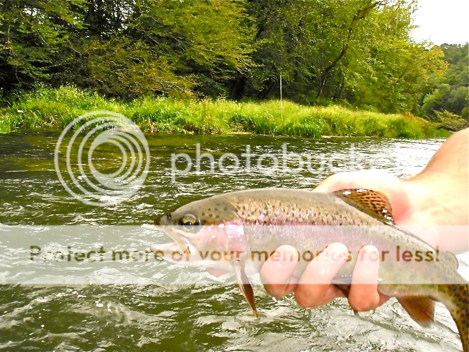 Catawba River Tailrace Fishing Report September 2012 | Appalachian Fly ...