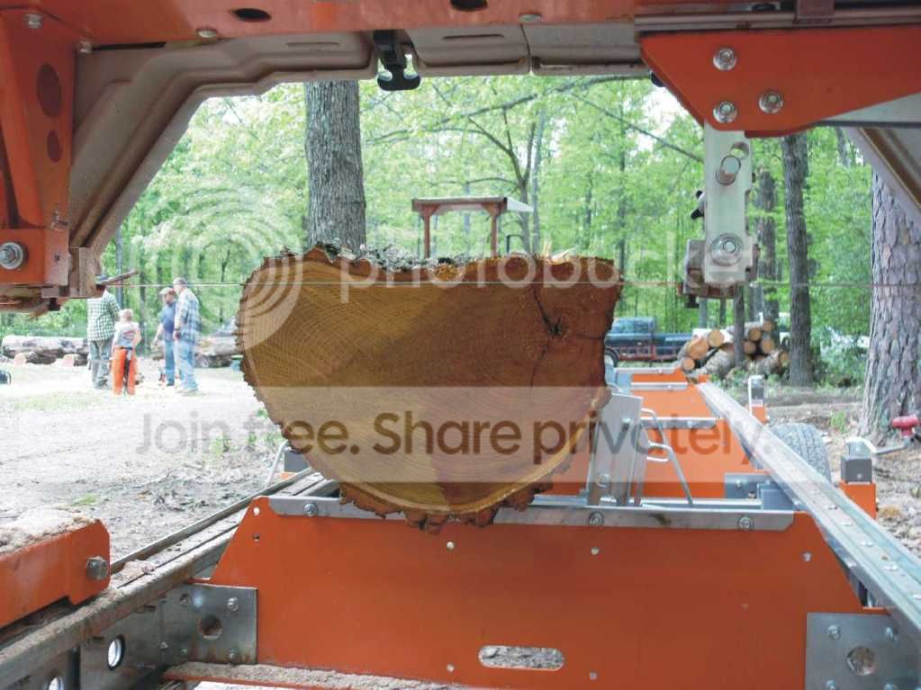 Osage Orange | Arborist, Chainsaw & Tree Work Forum