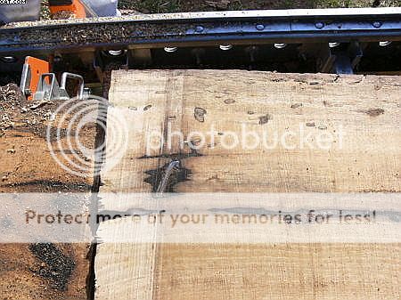 Spalted persimmon | Arborist, Chainsaw & Tree Work Forum