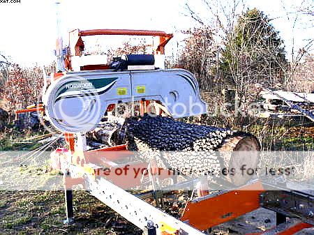 Spalted persimmon | Lawn Care Forum